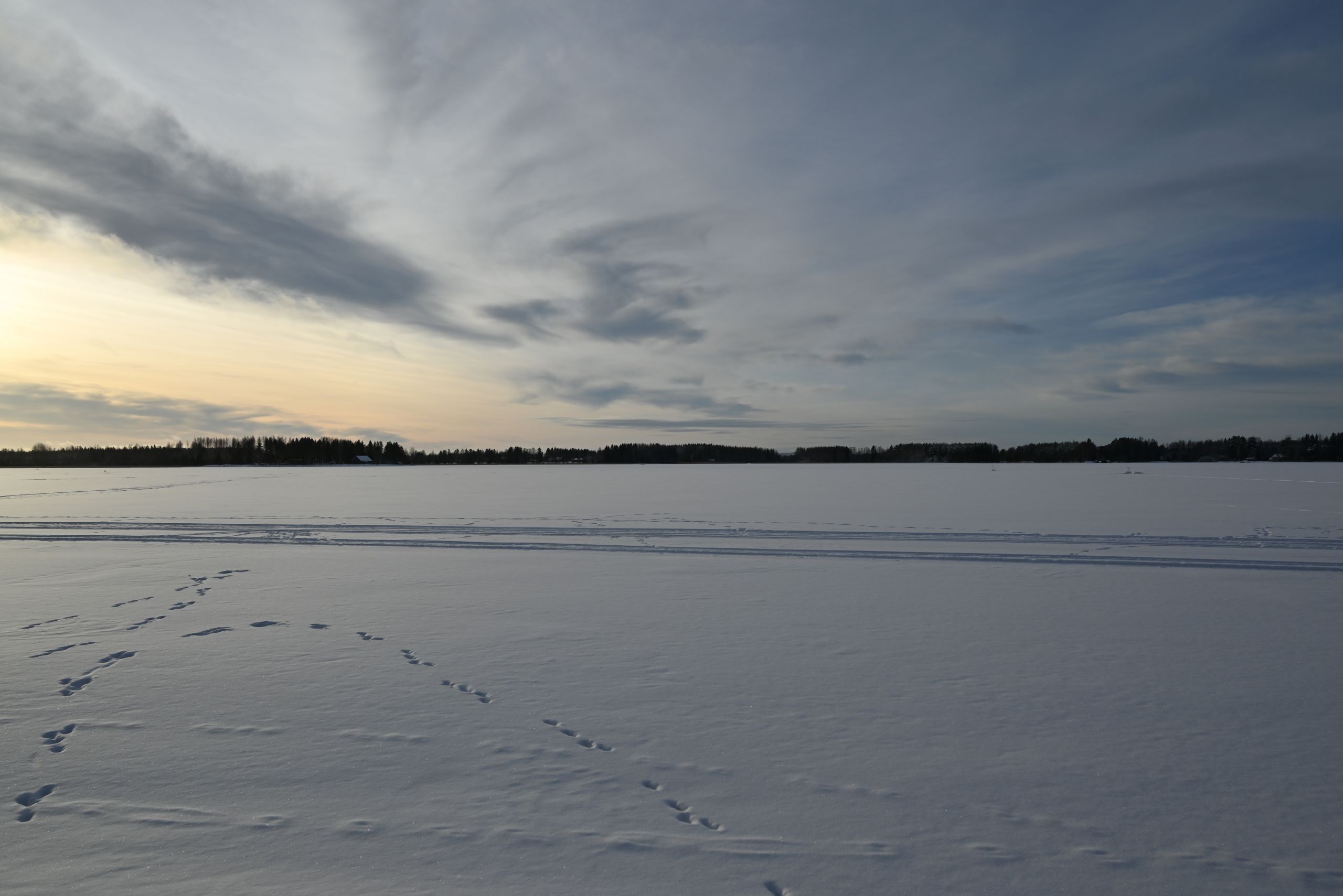Ilosenmäen tuulivoimahanke käynnistyy : wpd.fi Svenska