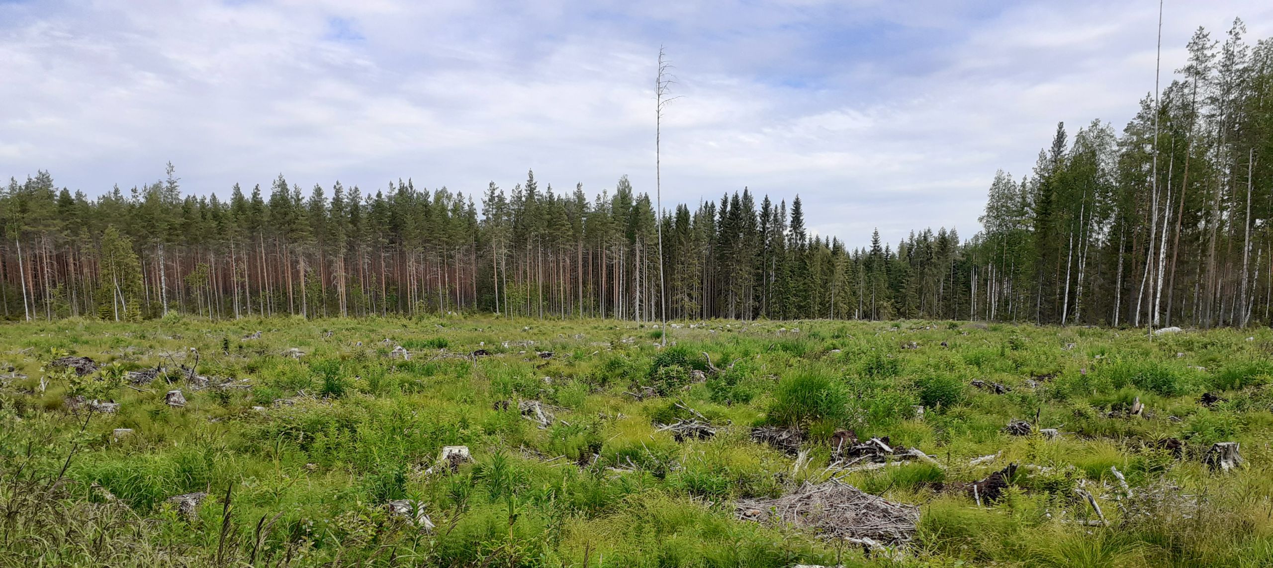 Nydalabacken : wpd.fi Svenska